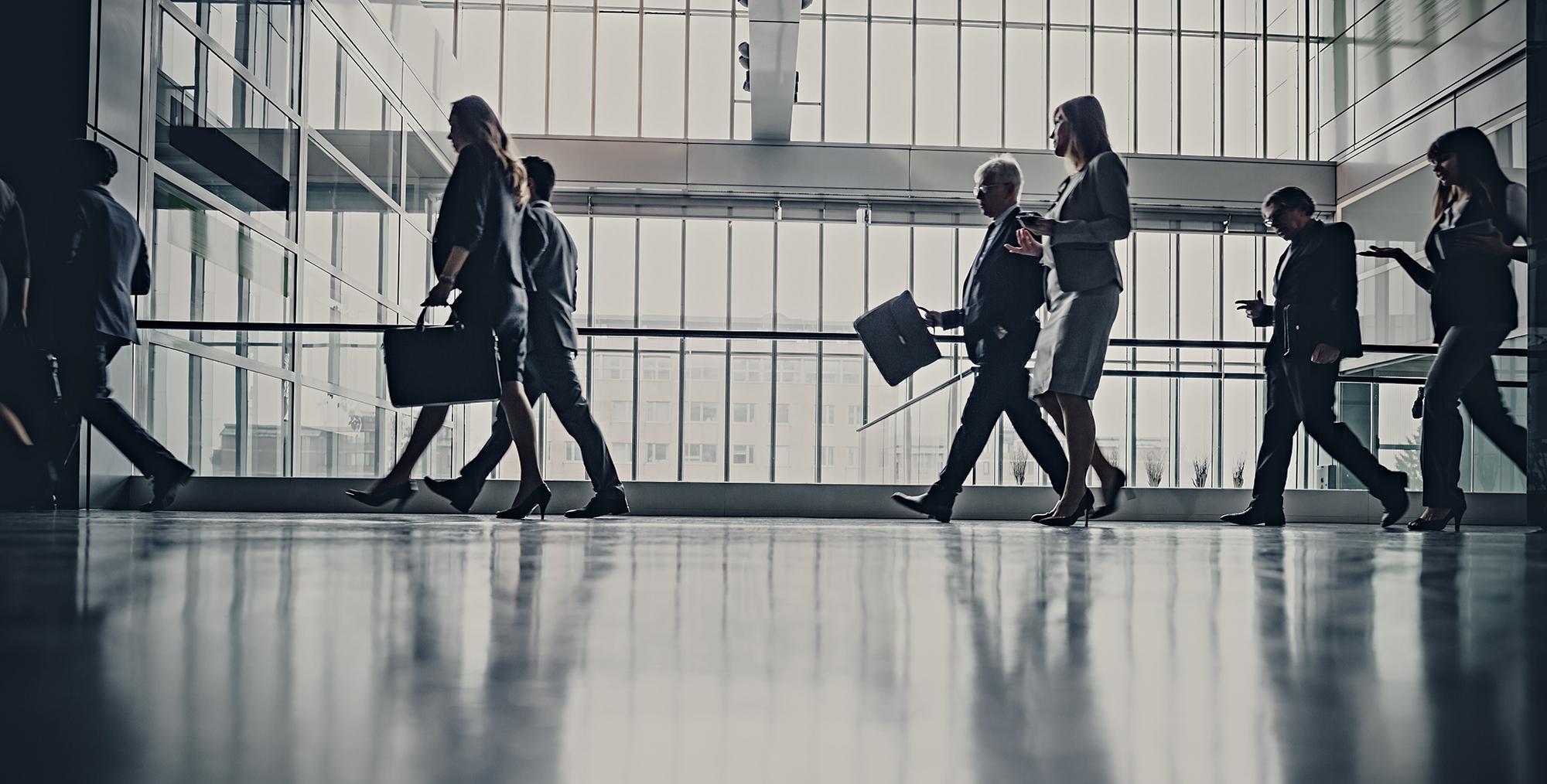 Technical Security Countermeasure Programs - PL Technology Solutions